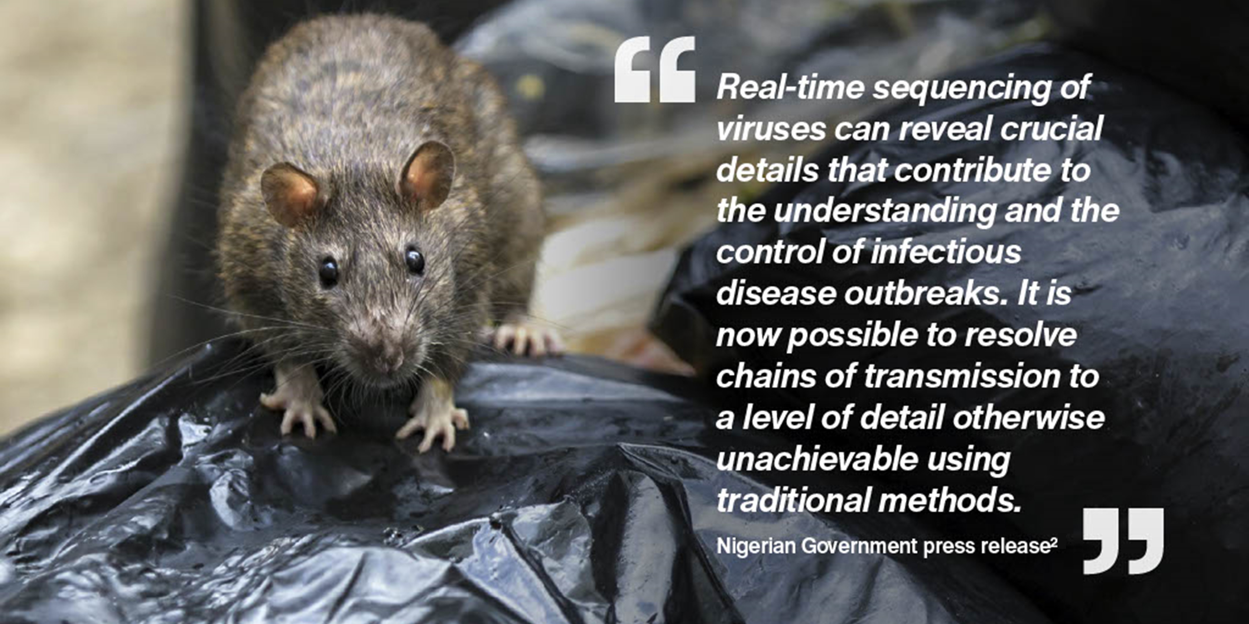 Tracking transmission in a Lassa fever outbreak