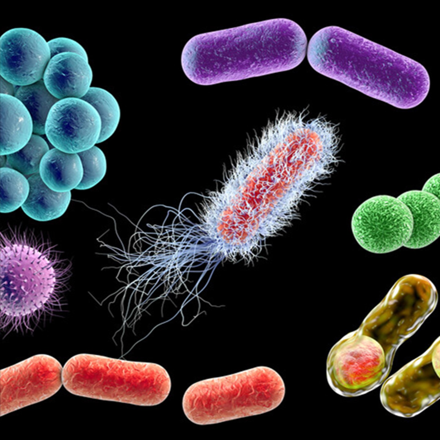 London Calling 2023 Squiggle Analysis For Metagenomic Viability Inference