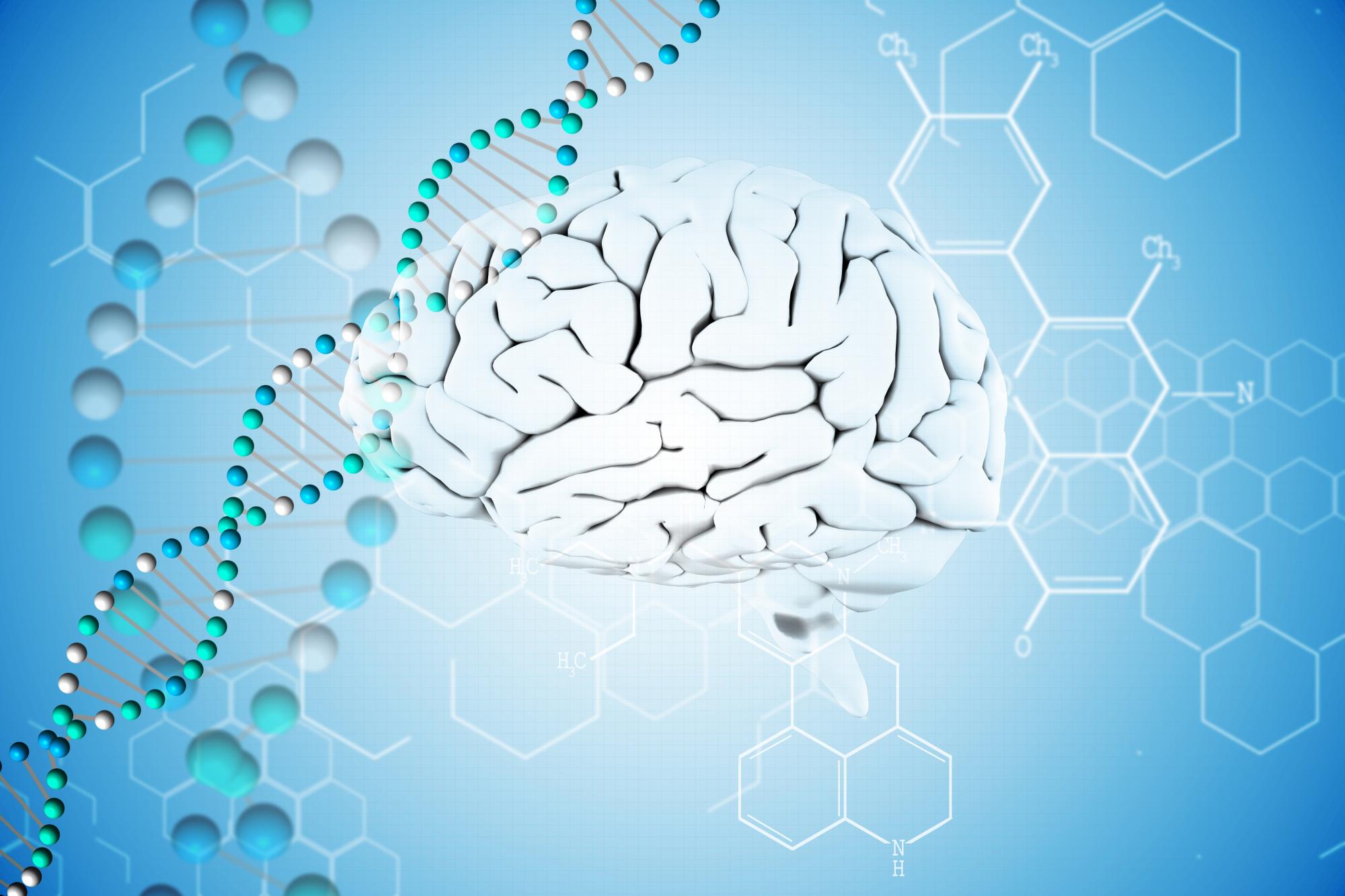Enhancer hijacking determines intra- and extrachromosomal circular ...