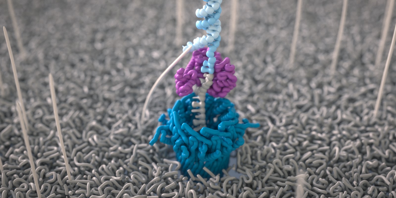 NCM 2021: Mitochondrial DNA analysis by long-read NGS in patients ...