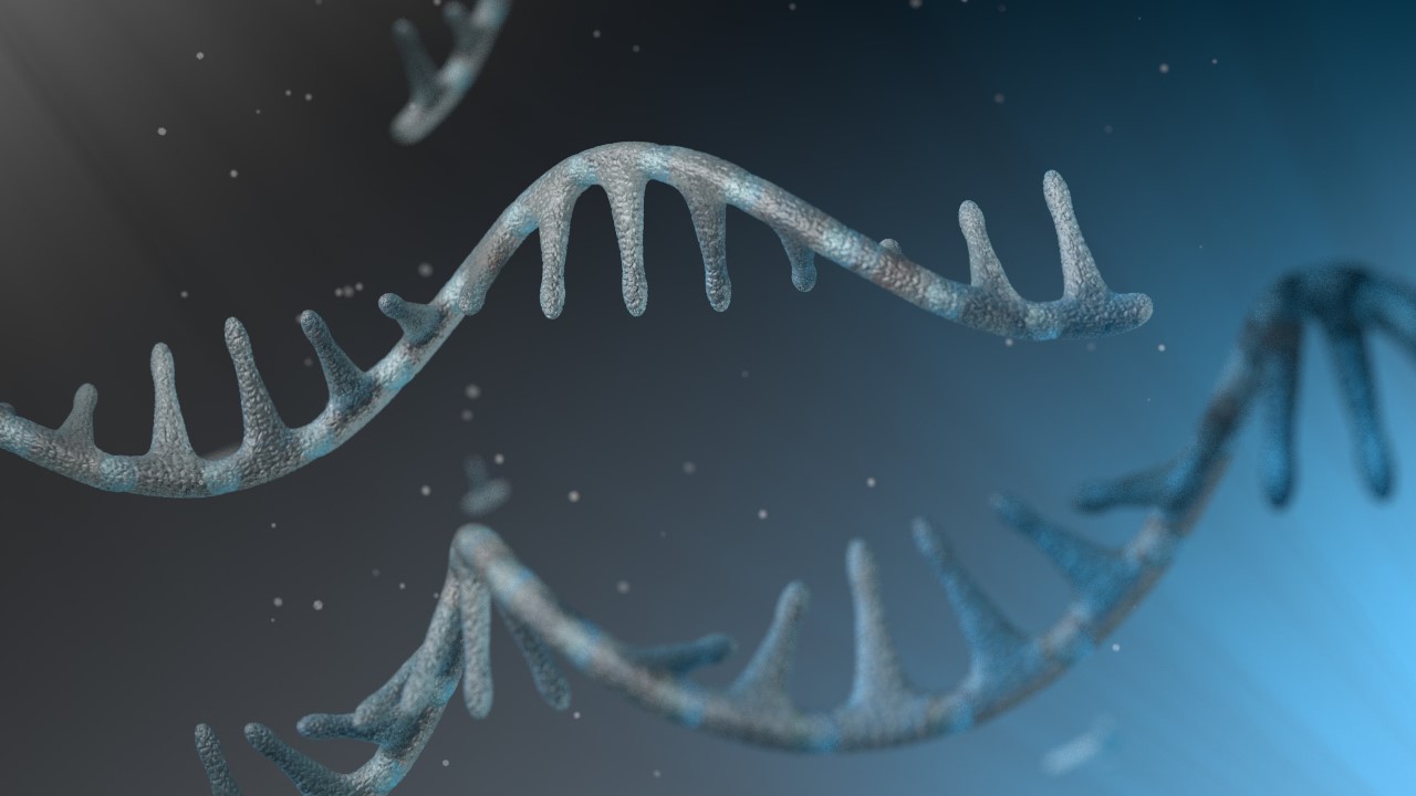 Transcriptional landscape analysis using direct RNA sequencing