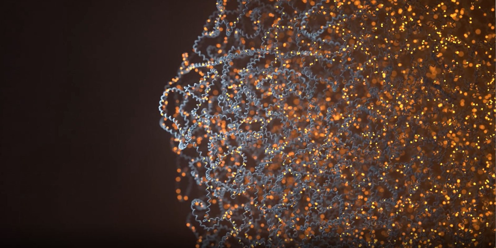 NCM 2021: Evaluation of nanopore sequencing for epigenetic epidemiology ...