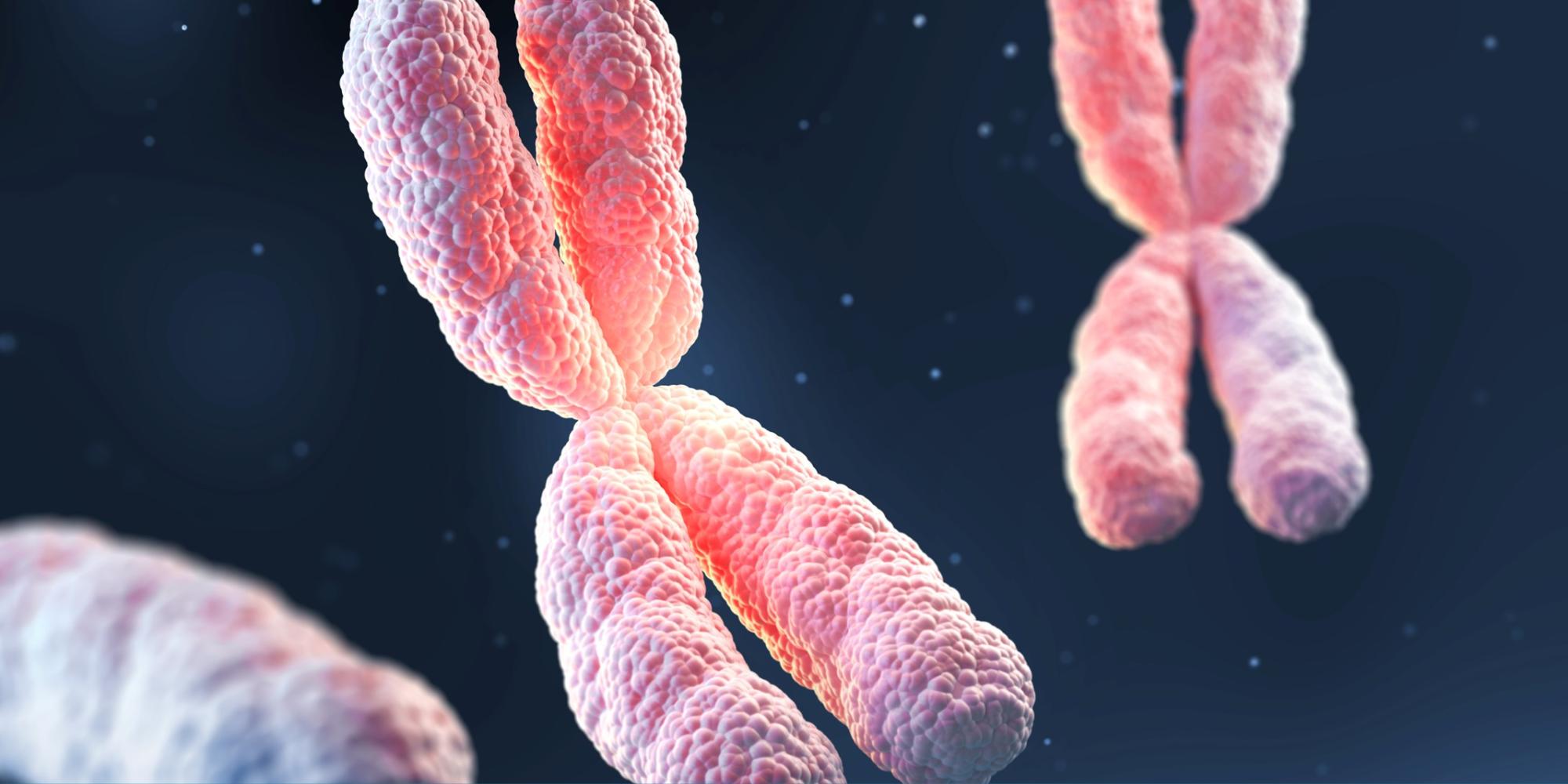 NCM 2022: Expanding studies of global genomic diversity with complete ...