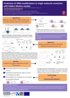 Predicition of rRNA Modifications in Single Molecule Resolution with hidden Markov Models
