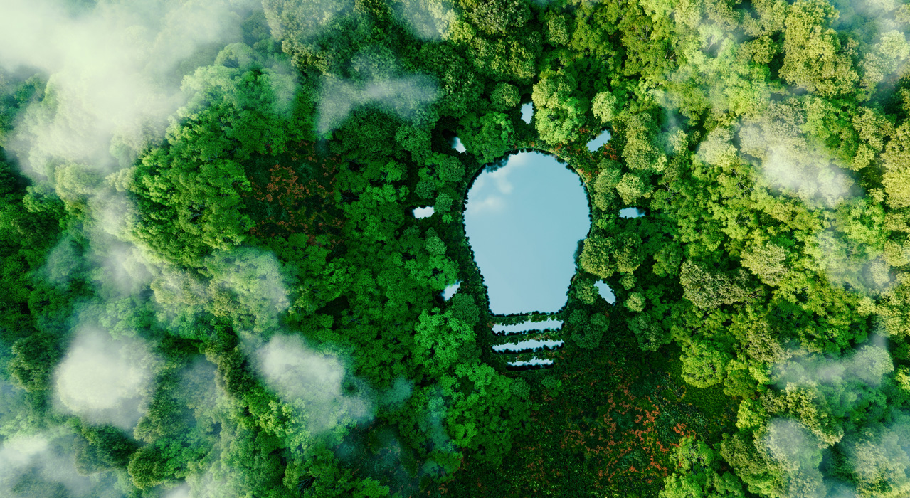 Därför ska du sikta högre i din koncernrapportering | Boardeaser