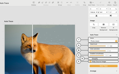 What’s the Deal with Corporate Illustrations?