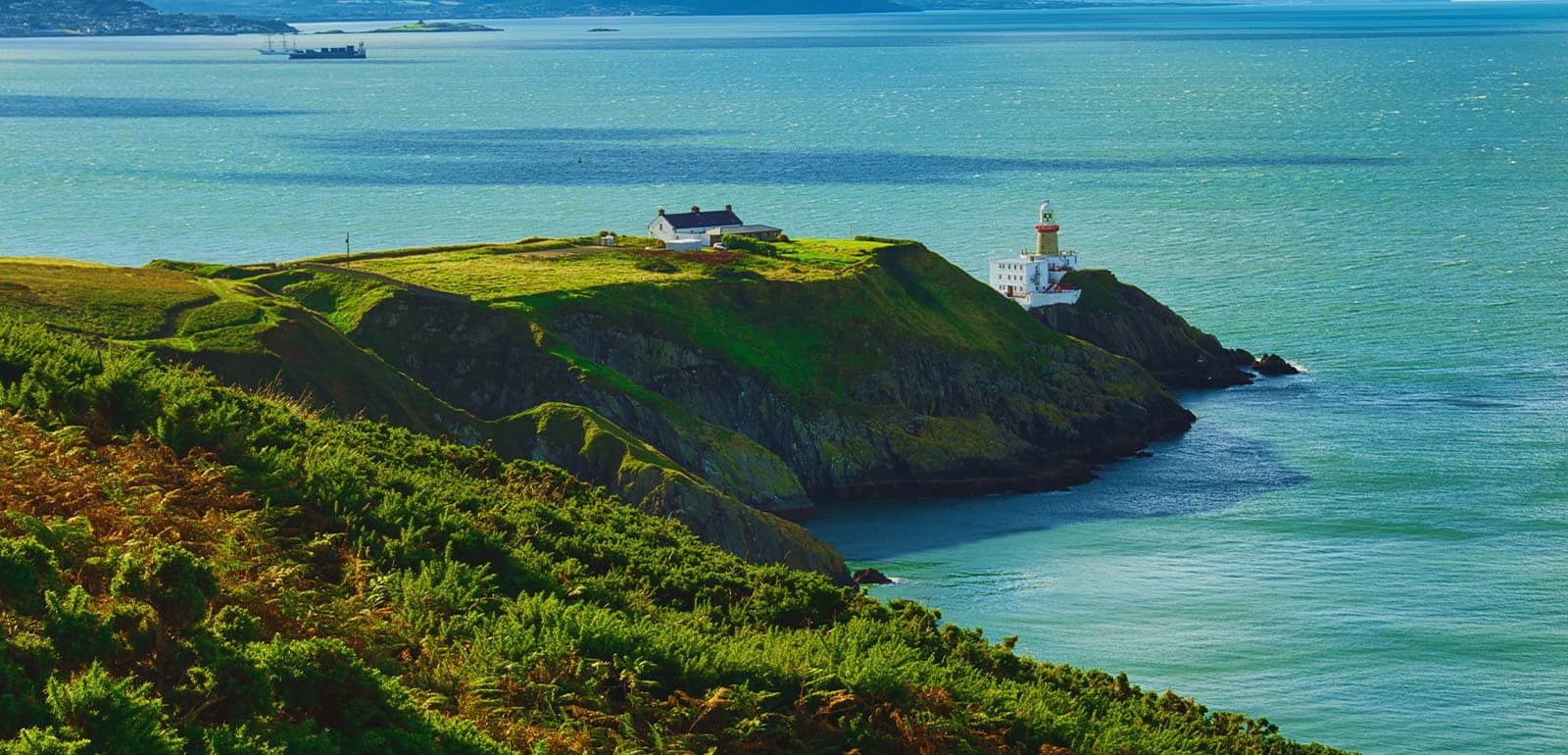 What are the Risks of Employee Misclassification in Ireland