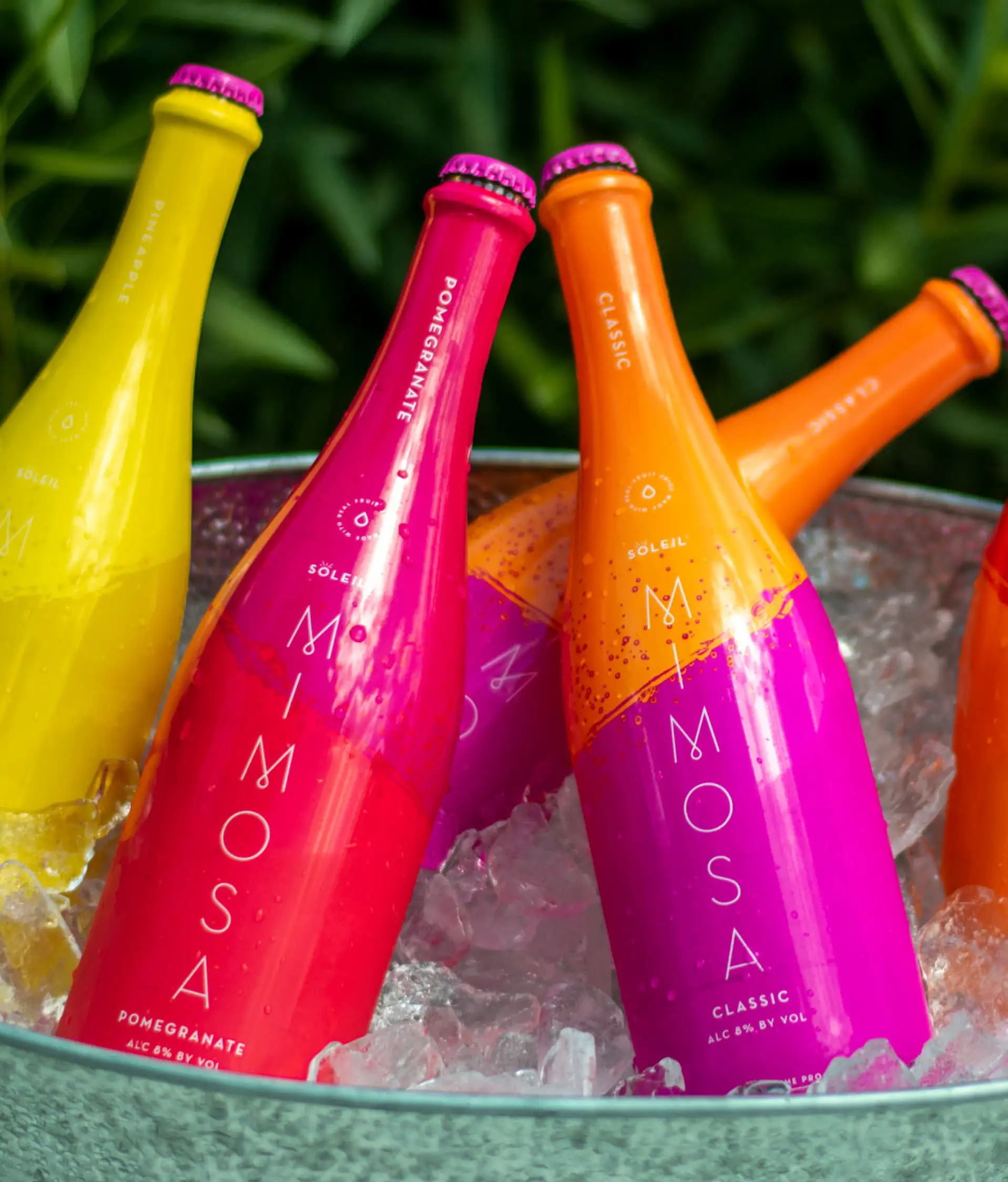 Branding Agency | Ego-Free Since 2003 | DesignScout