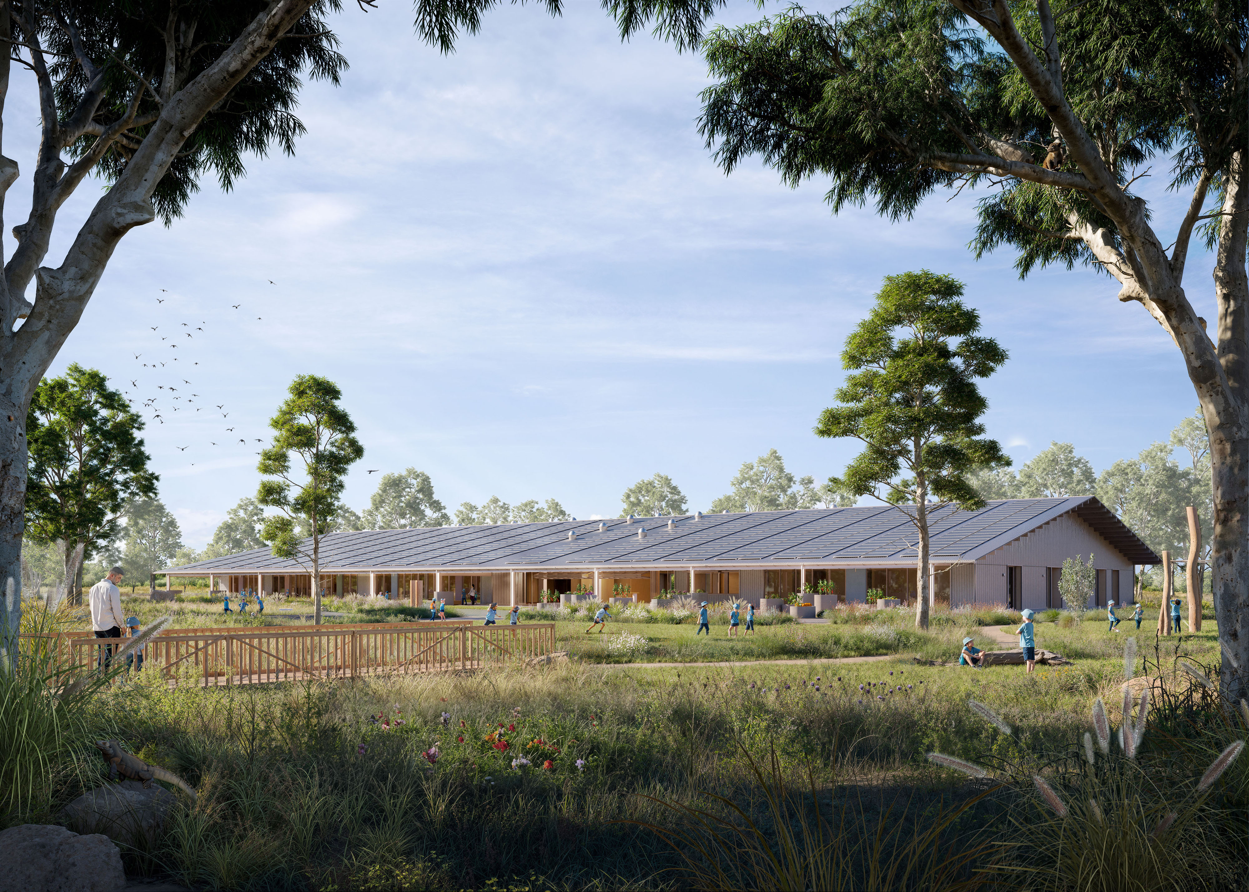 Geelong Grammar Primary | Architecture AND