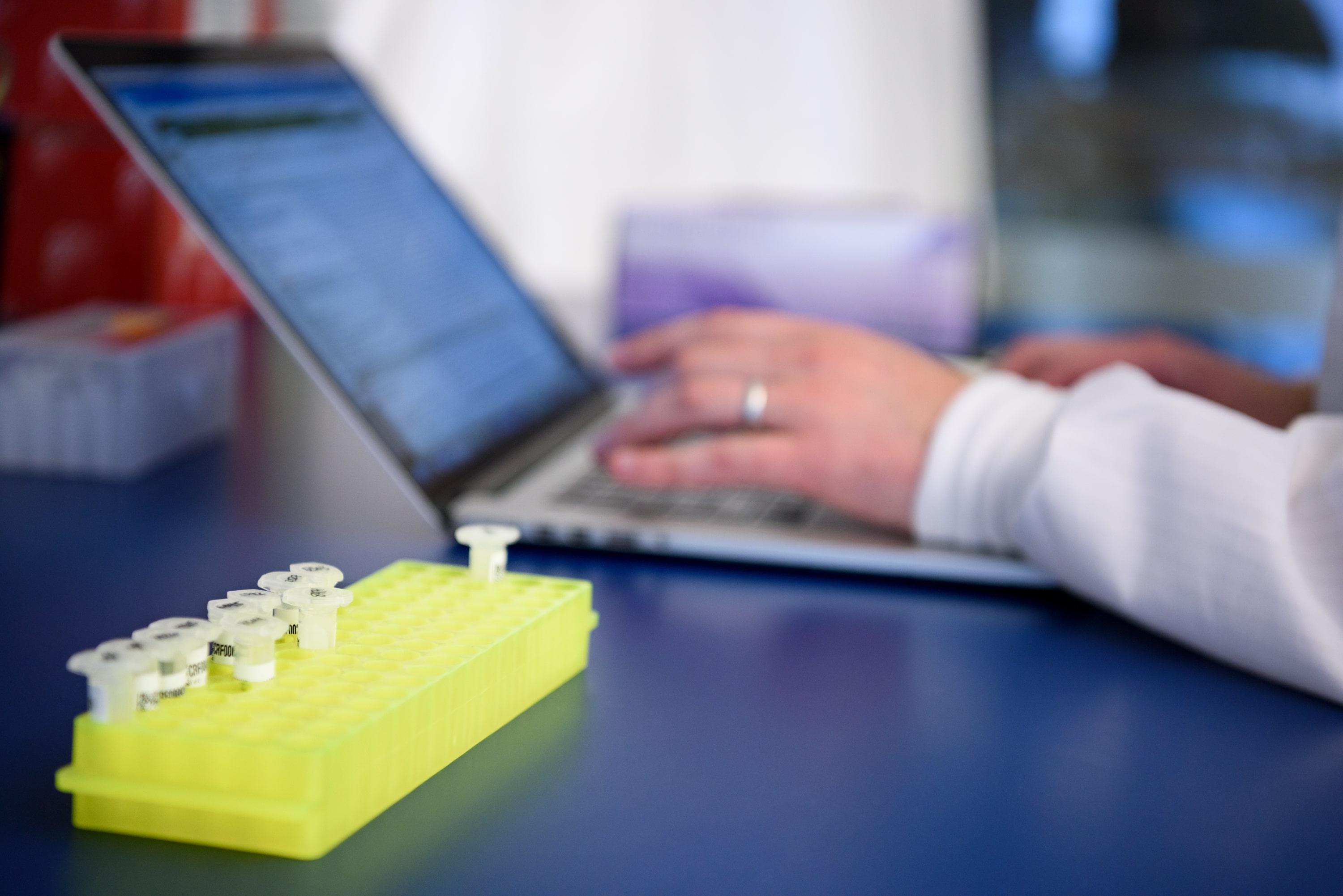 A hand typing on a laptop inside a lab next to test tubes