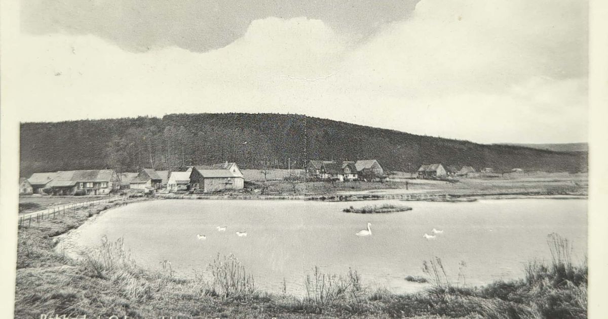 Rehbach - der See - Alter Odenwald