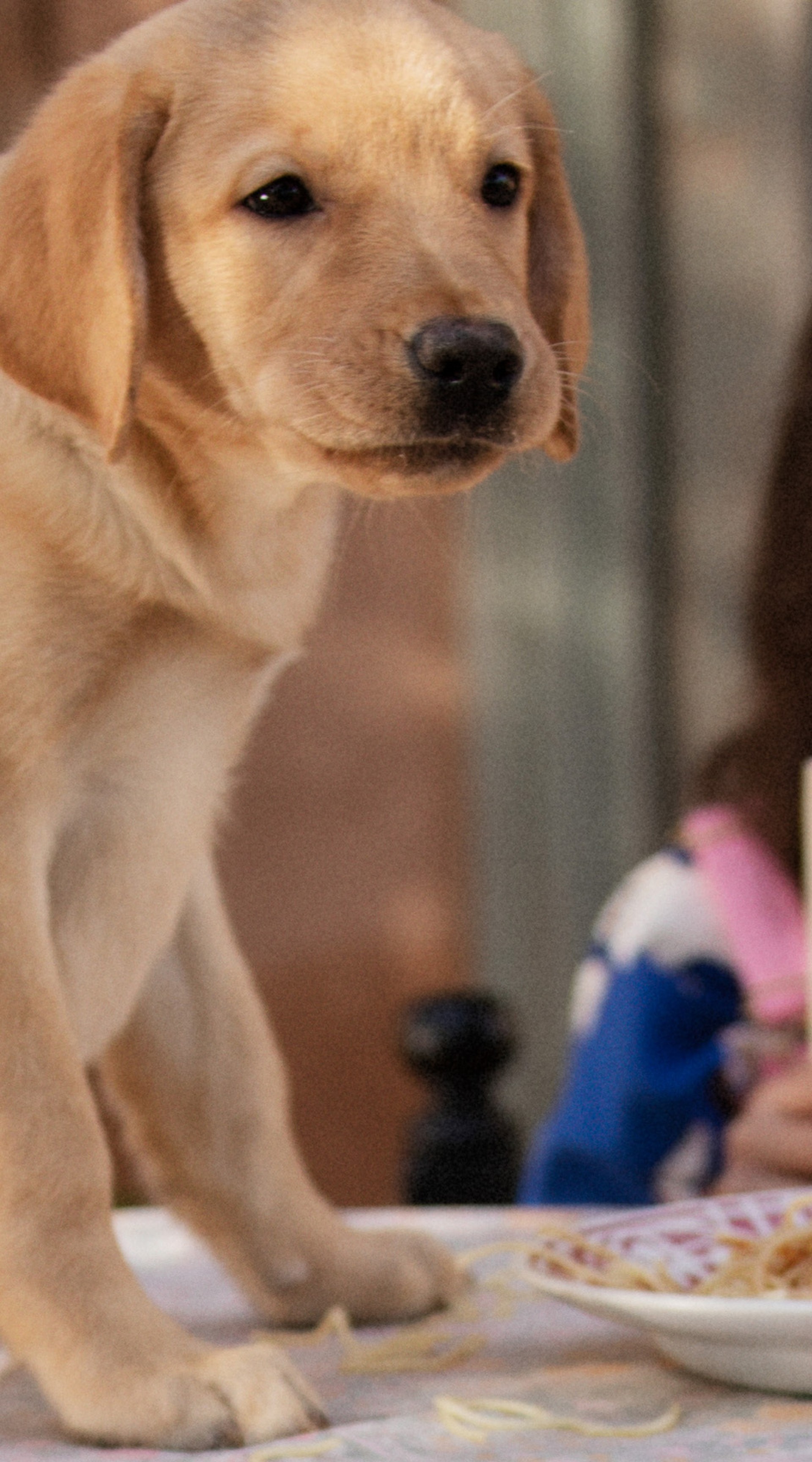 Organic kids & baby clothes | Mini Rodini