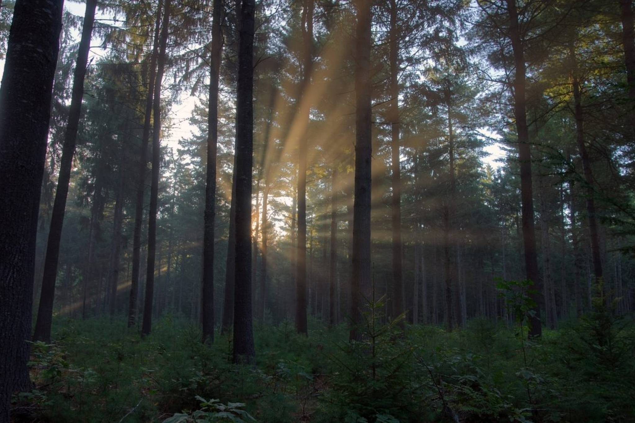 Nomura’s Jeff McDermott: Asia is Mission Critical to Address Climate Change