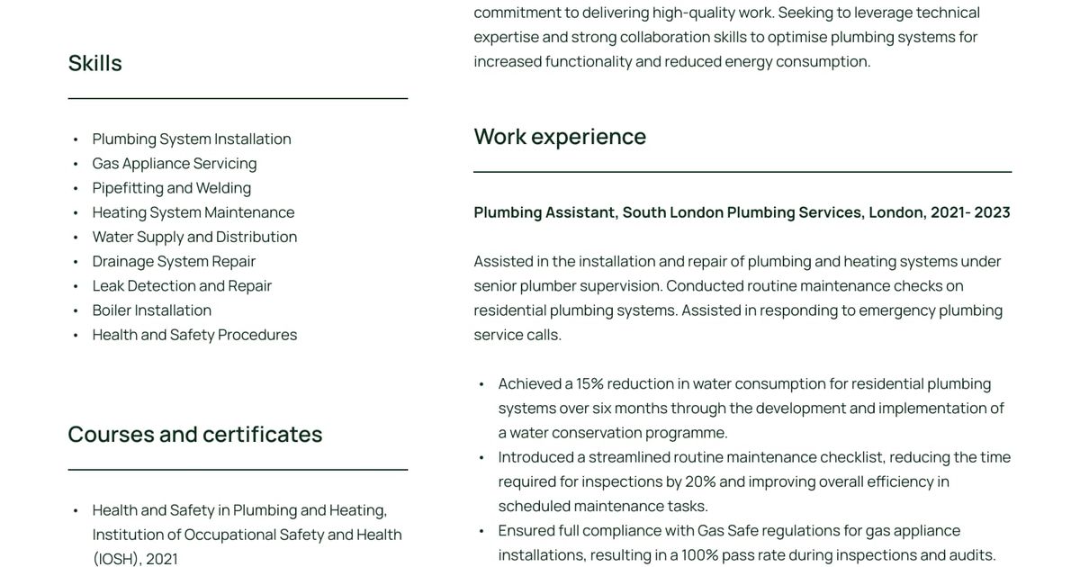 Plumber CV Example: Free writing guide and best tips!