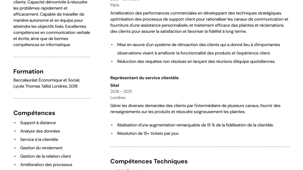 French CV example: Free to customise!