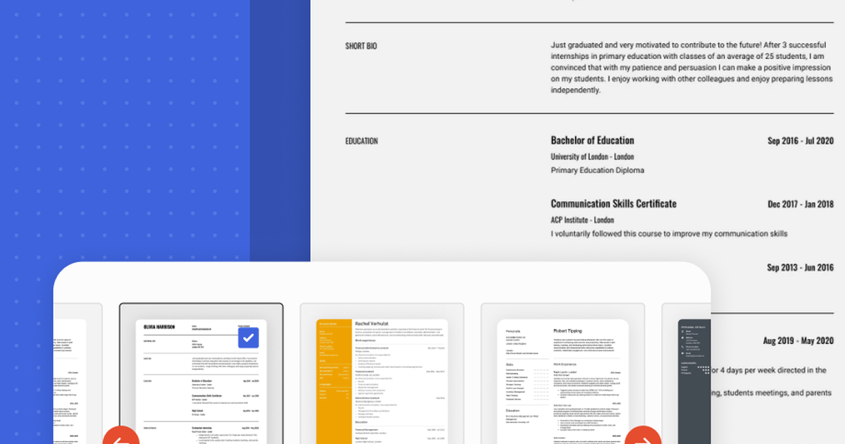 Professional CV Templates 2025 | Stand out from the crowd