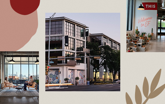 Look inside the newest EF office in Austin, Texas ‹ We are EF ‹ We are ...