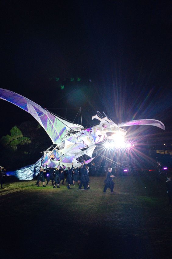 Trigger — Meet the cast and creative team of The Hatchling 2024