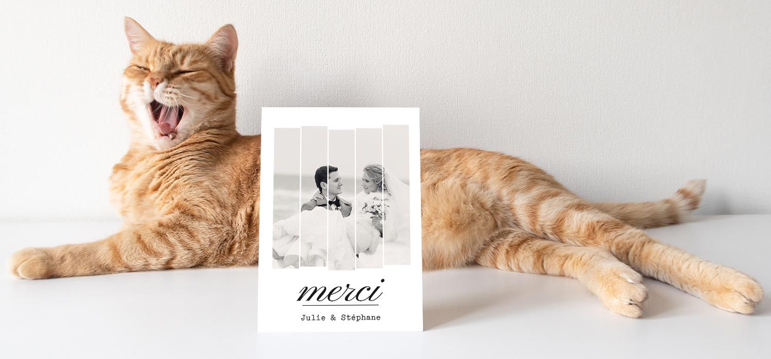 Cadeaux photo personnalisés | Découvrez nos designs | Optimalprint ...