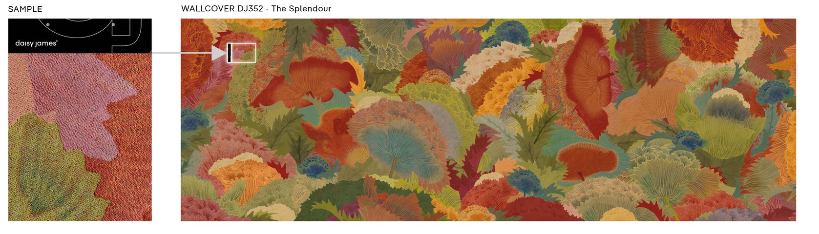 DJ | The Splendour No.1