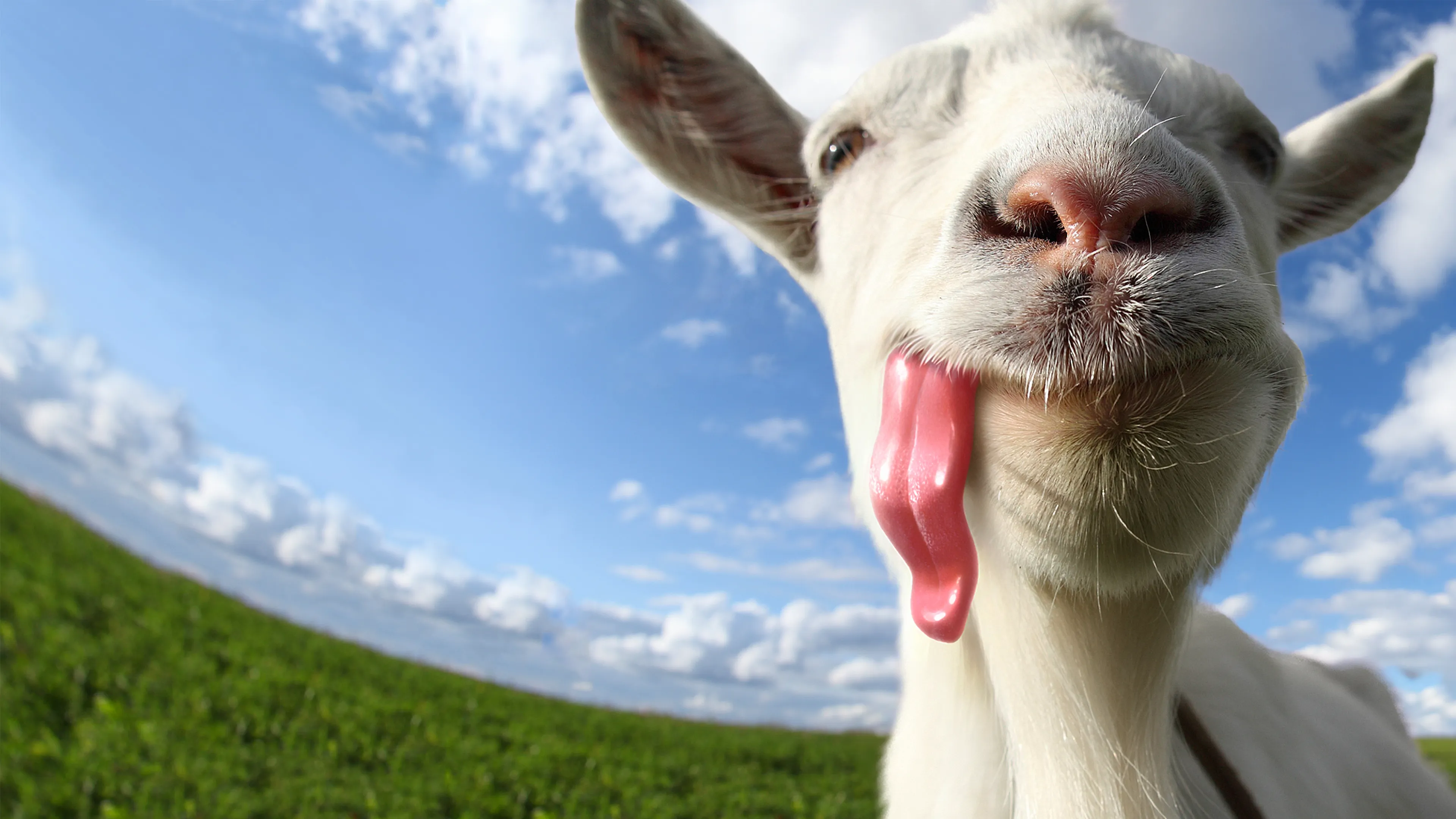 Steam PlayStation Nintendo Switch Xbox