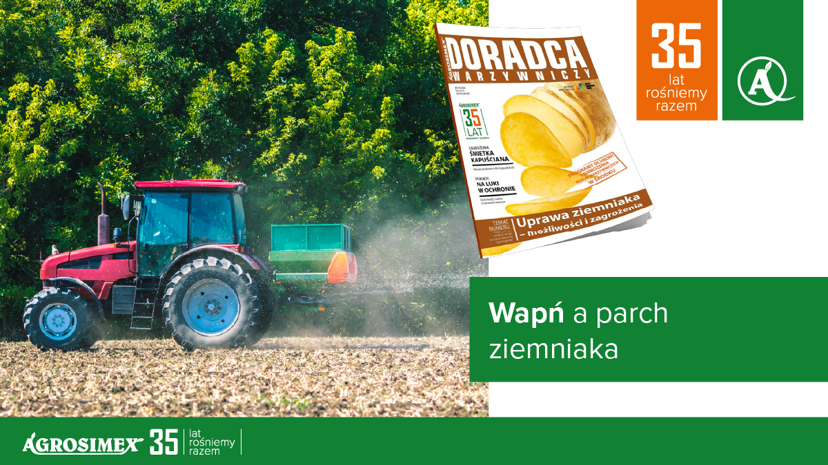 Wapń a parch ziemniaka - Agrosimex.pl