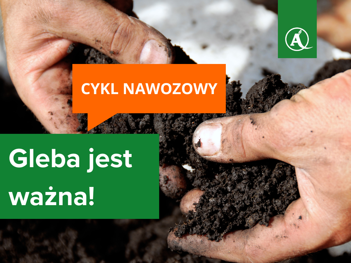 Gleba i jej znaczenie – żyzność, zasobność i rola mikroorganizmów w ...