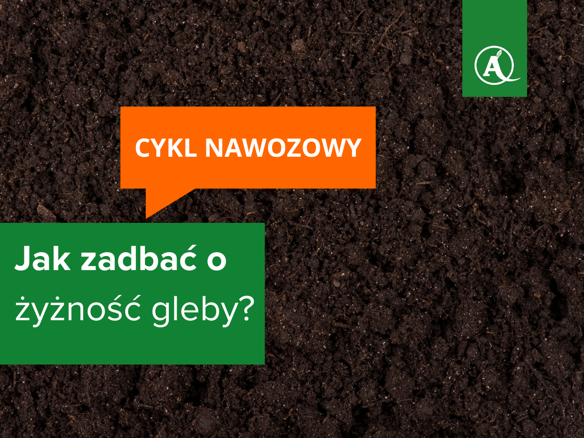 Jak zadbać o glebę? Najlepsze sposoby na poprawę żyzności - Agrosimex.pl