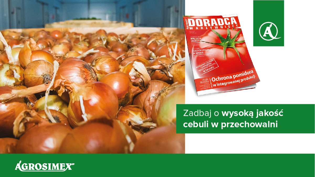 Zadbaj o wysoką jakość cebuli w przechowalni - Agrosimex.pl