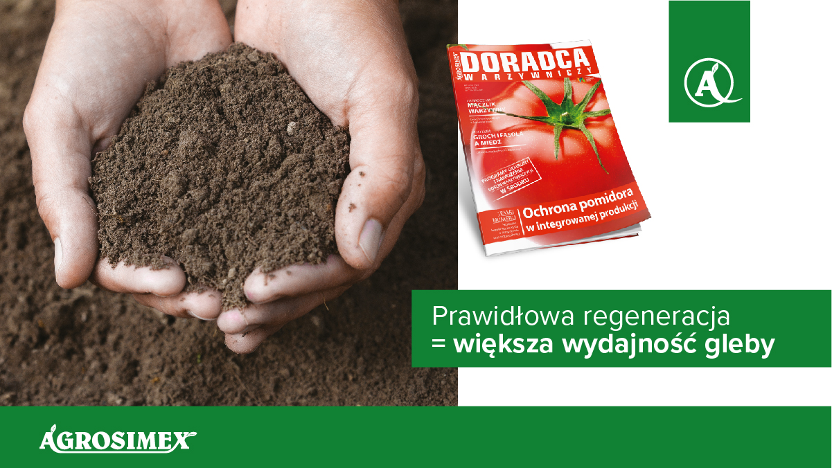 Prawidłowa regeneracja = większa wydajność gleby - Agrosimex.pl
