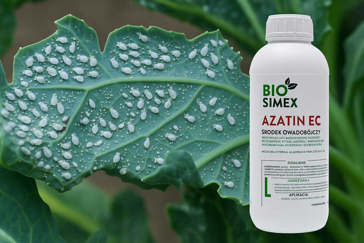 Azatin EC – naturalna i skuteczna ochrona upraw pod osłonami - Agrosimex.pl
