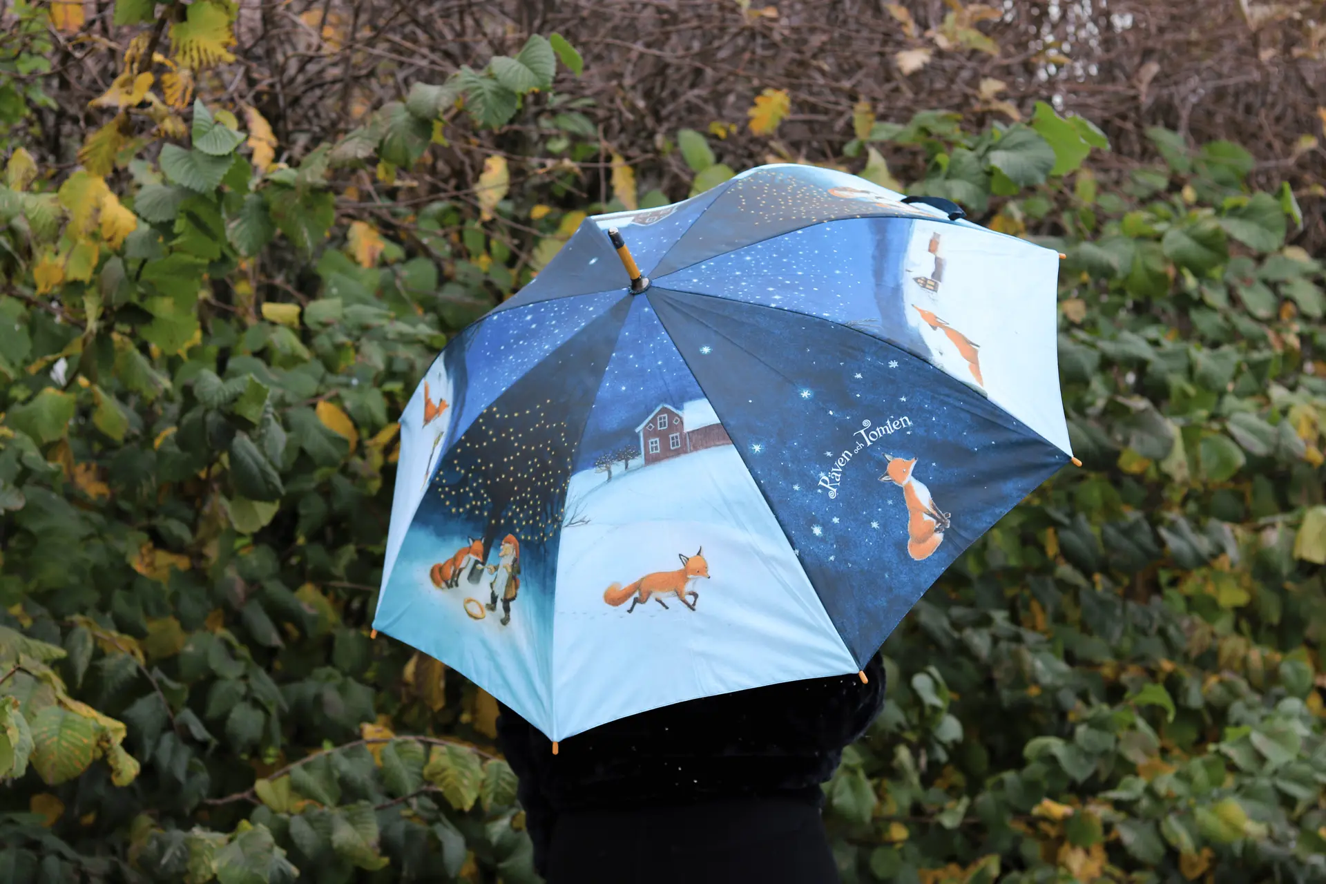 The Tomten and the Fox - Astrid Lindgren