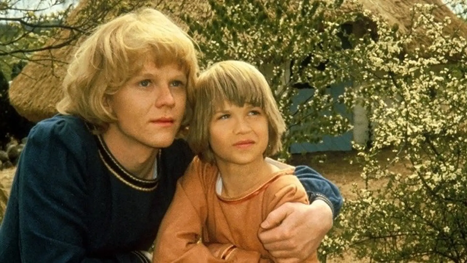 What happened to the Brothers Lionheart? - Astrid Lindgren