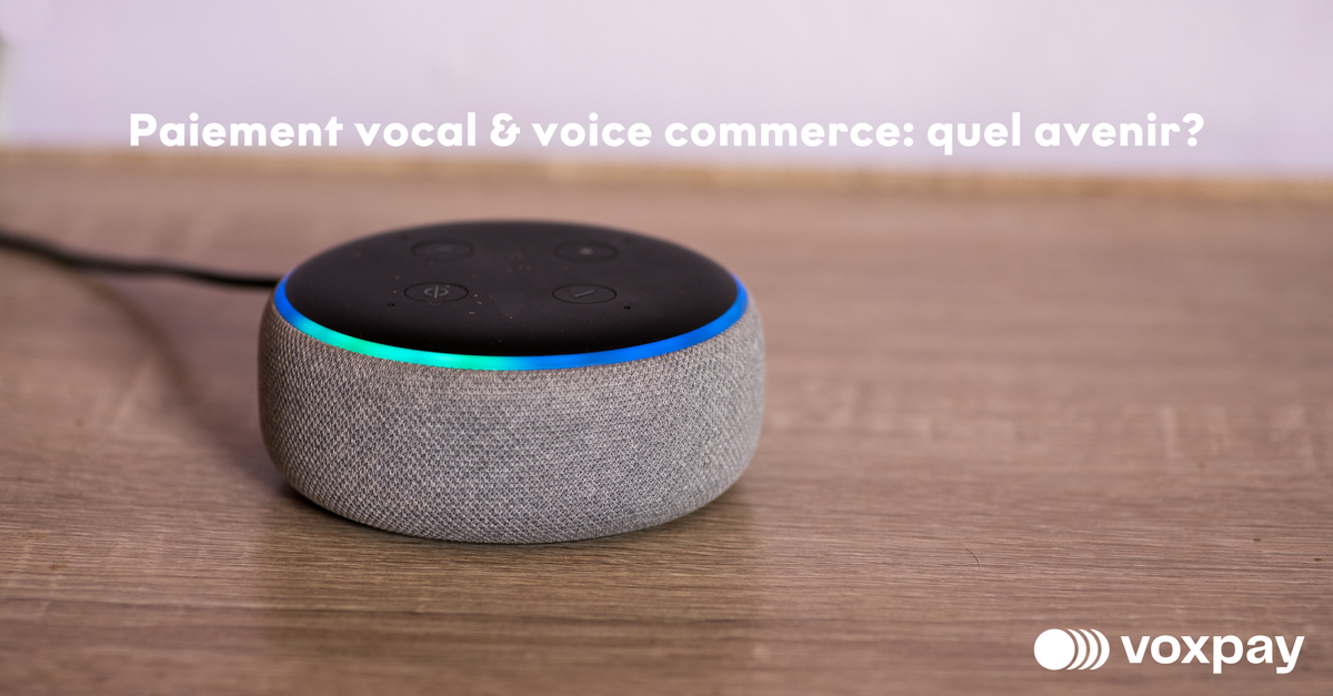 Paiement vocal & voice commerce: quel avenir?