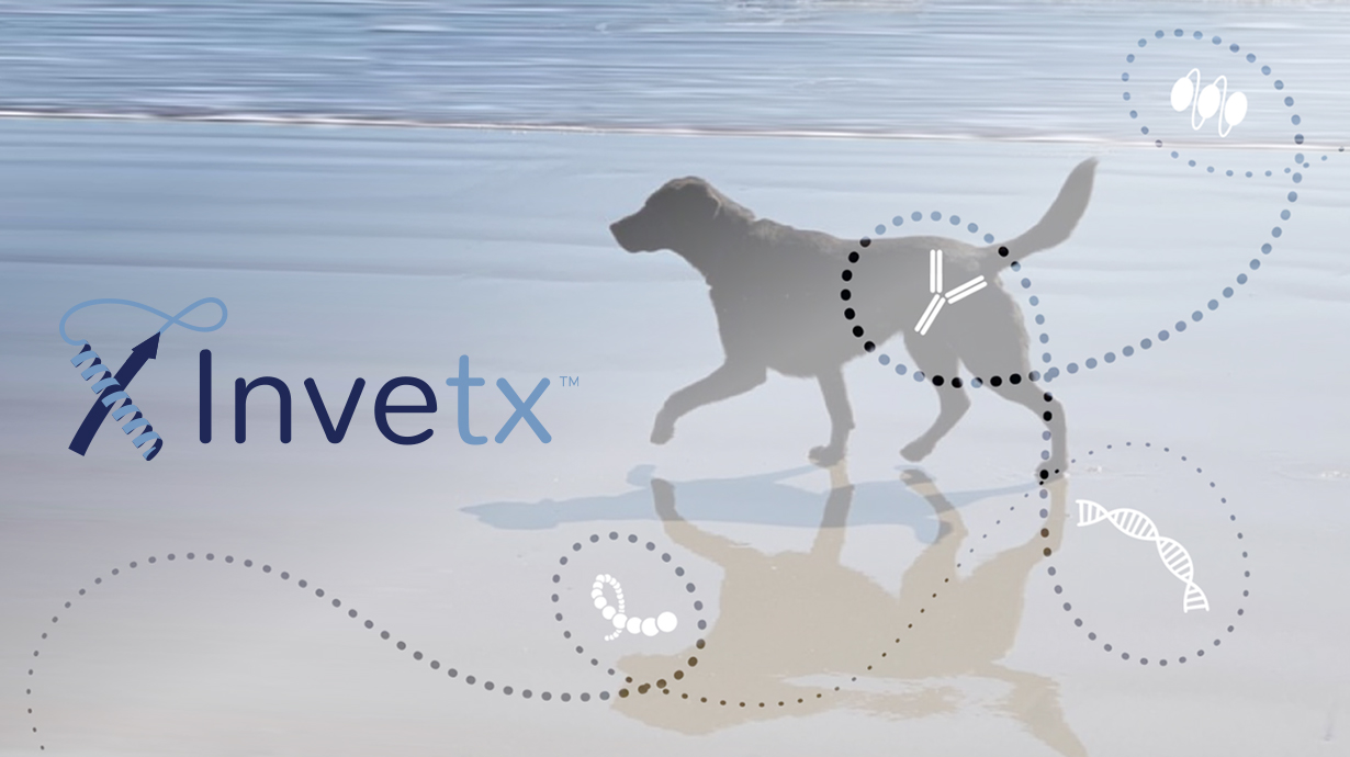 Novo Holdings backs animal health company Invetx