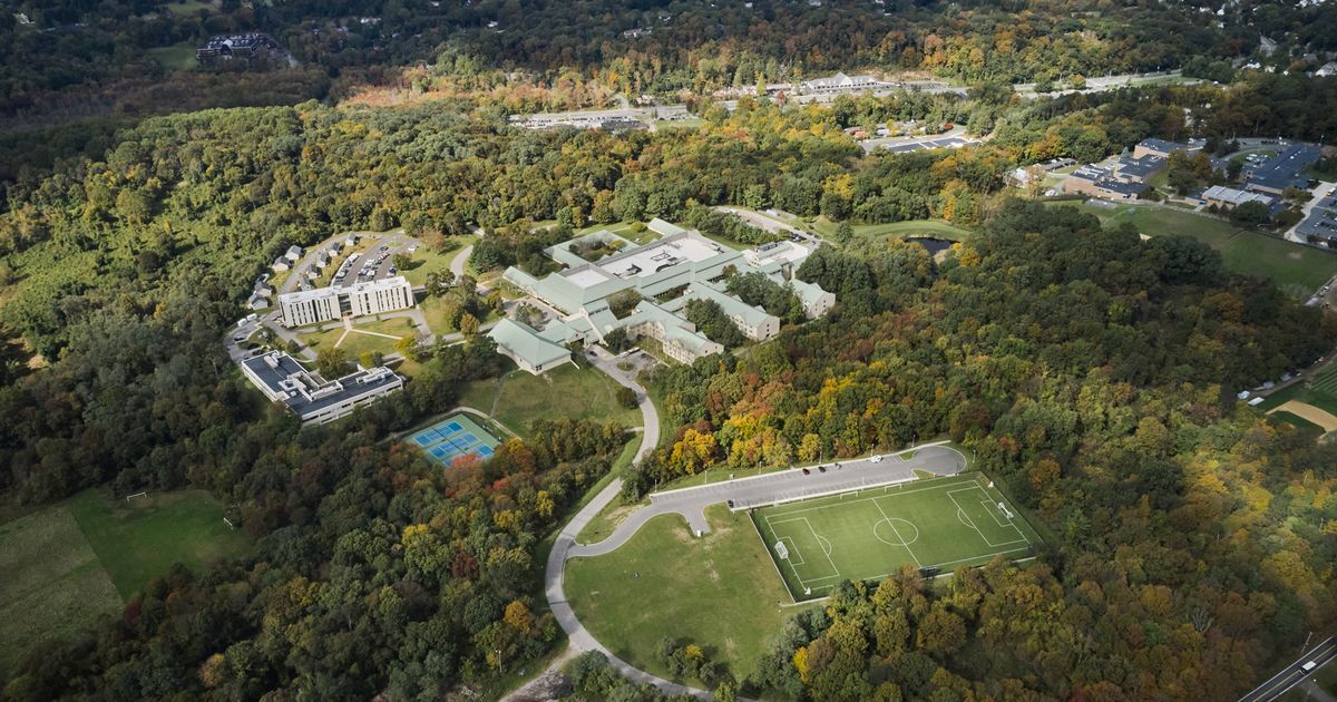 Scuola superiore internazionale a New York | EF Academy