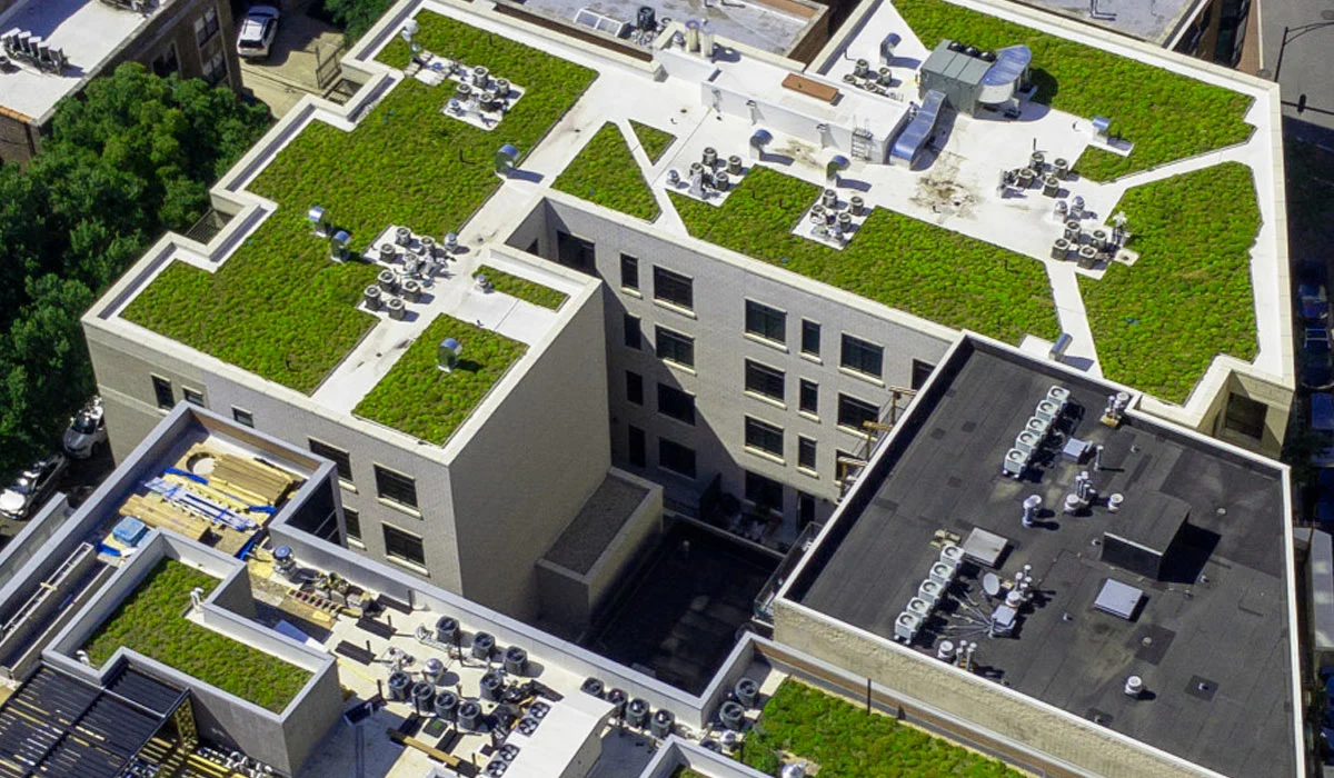 Green Roofs and Vertical Gardens: Integrating Nature into Urban ...
