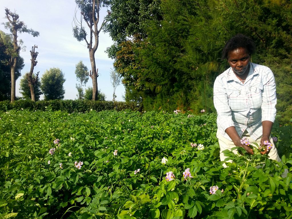 Women Fighting Poverty through Agribusiness, part 2. | Gundua Foundation