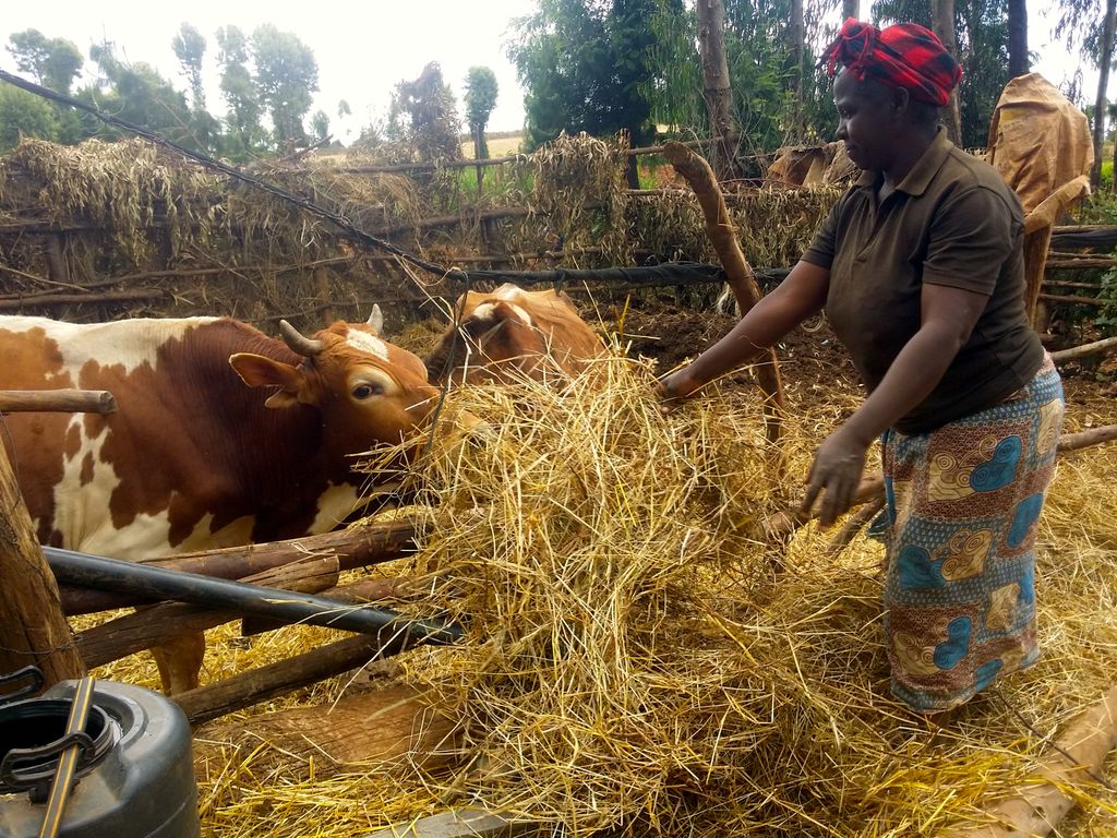 Women Fighting Poverty through Agribusiness, part 1. | Gundua Foundation
