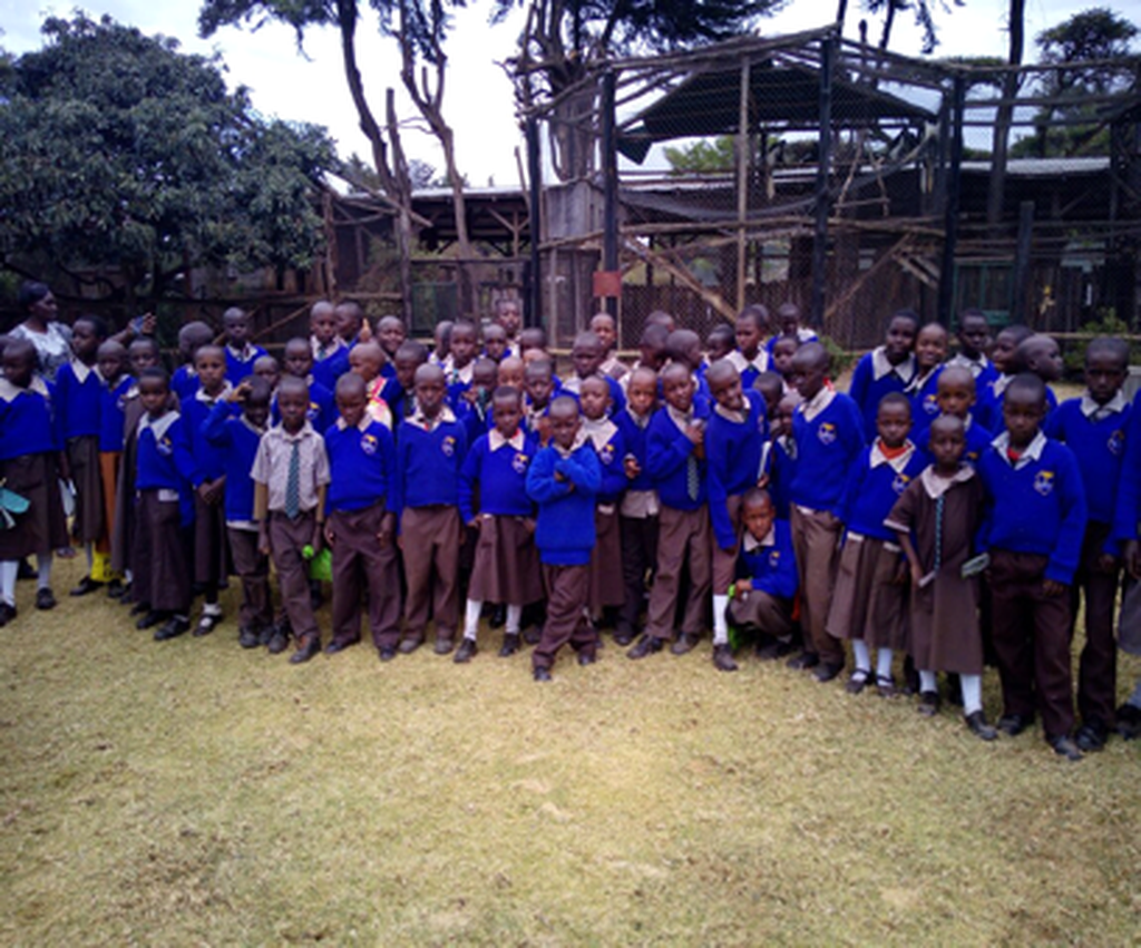 News from Gundua Primary School, improved marks | Gundua Foundation
