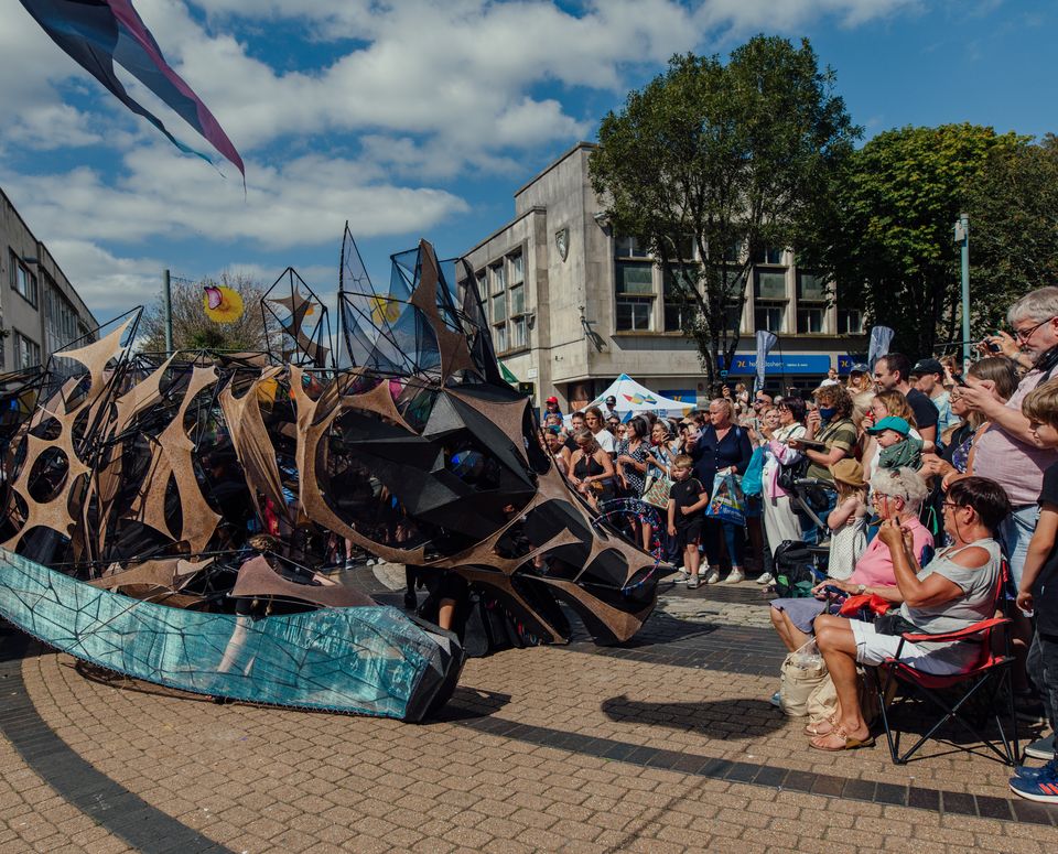 The Hatchling - The Hatchling