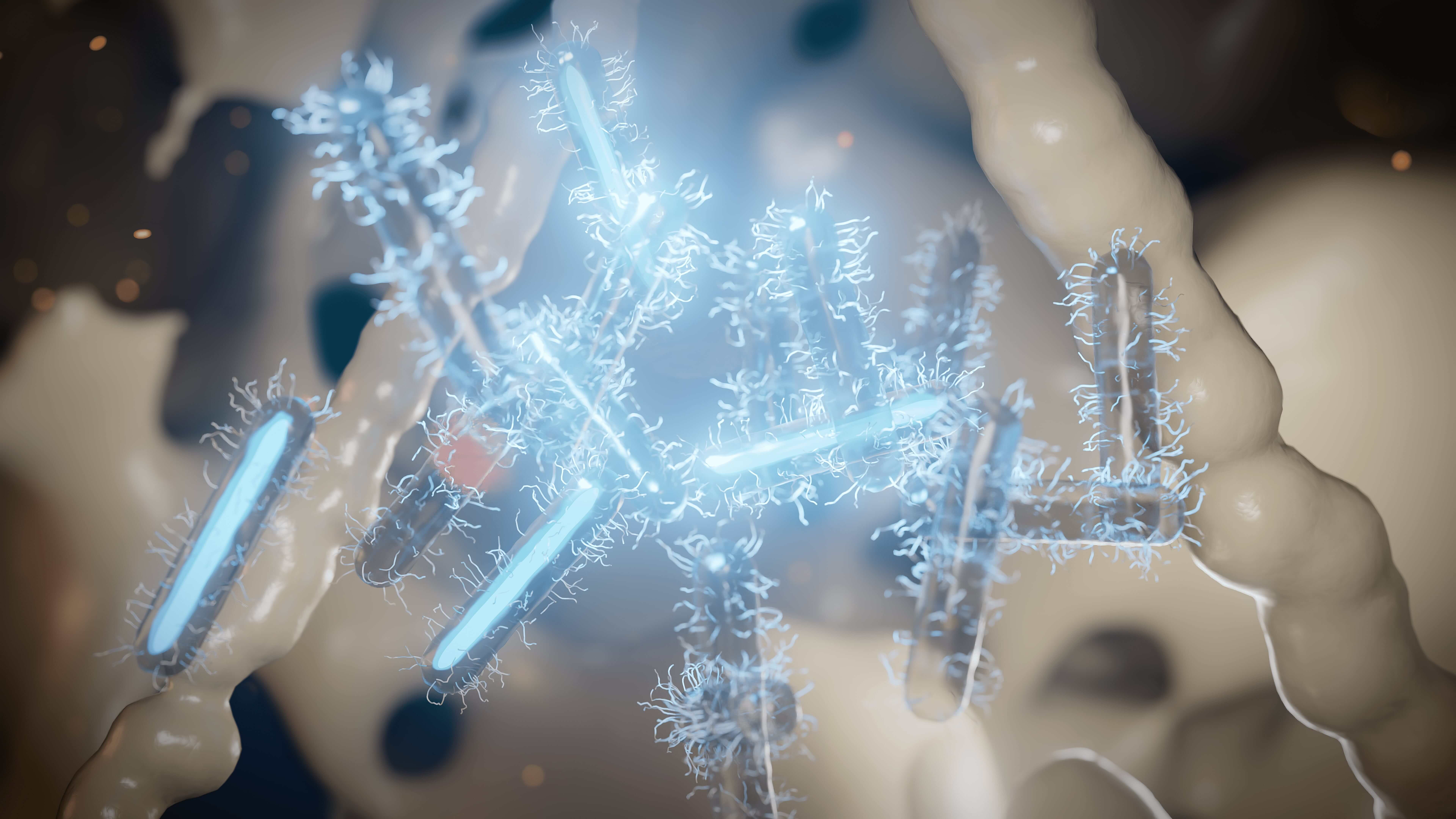 Human-Bacteria Interfaces | BIO-FUTURES for Transplanetary Habitats