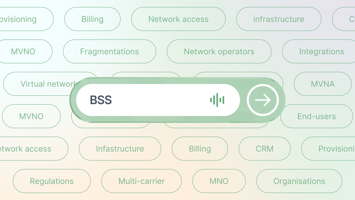 What is BSS in telecom?