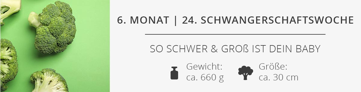 24. SSW (Schwangerschaftswoche): Das erlebst Du in der 24 ...