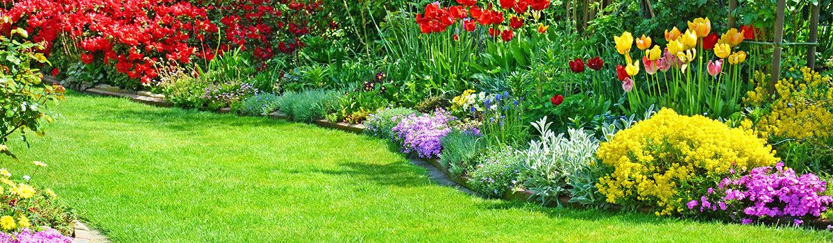 Beet anlegen: Infos, Tipps & Anleitung | Huis & Comfort