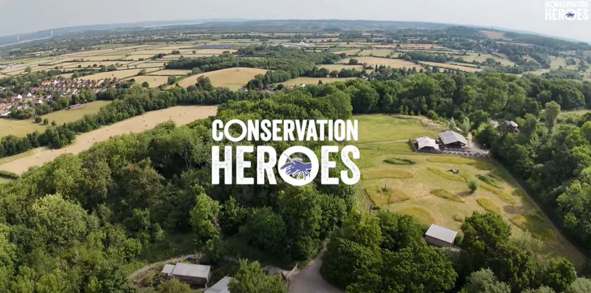 Conservation Heroes: UK Native Species spotlight - Bristol Zoo Project