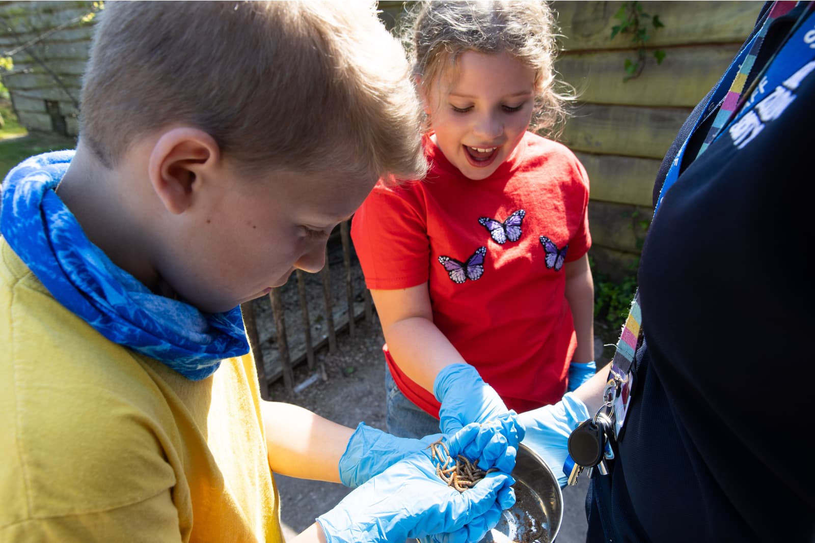 Zookeeper in Training - Bristol Zoo Project