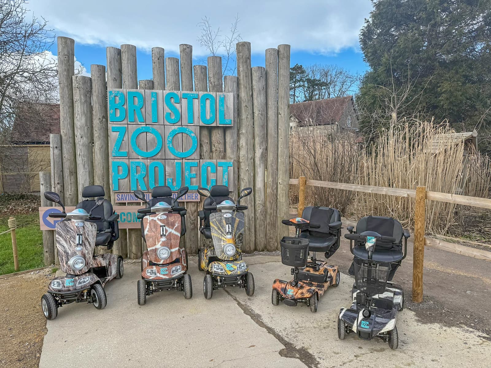 Accessibility - Bristol Zoo Project