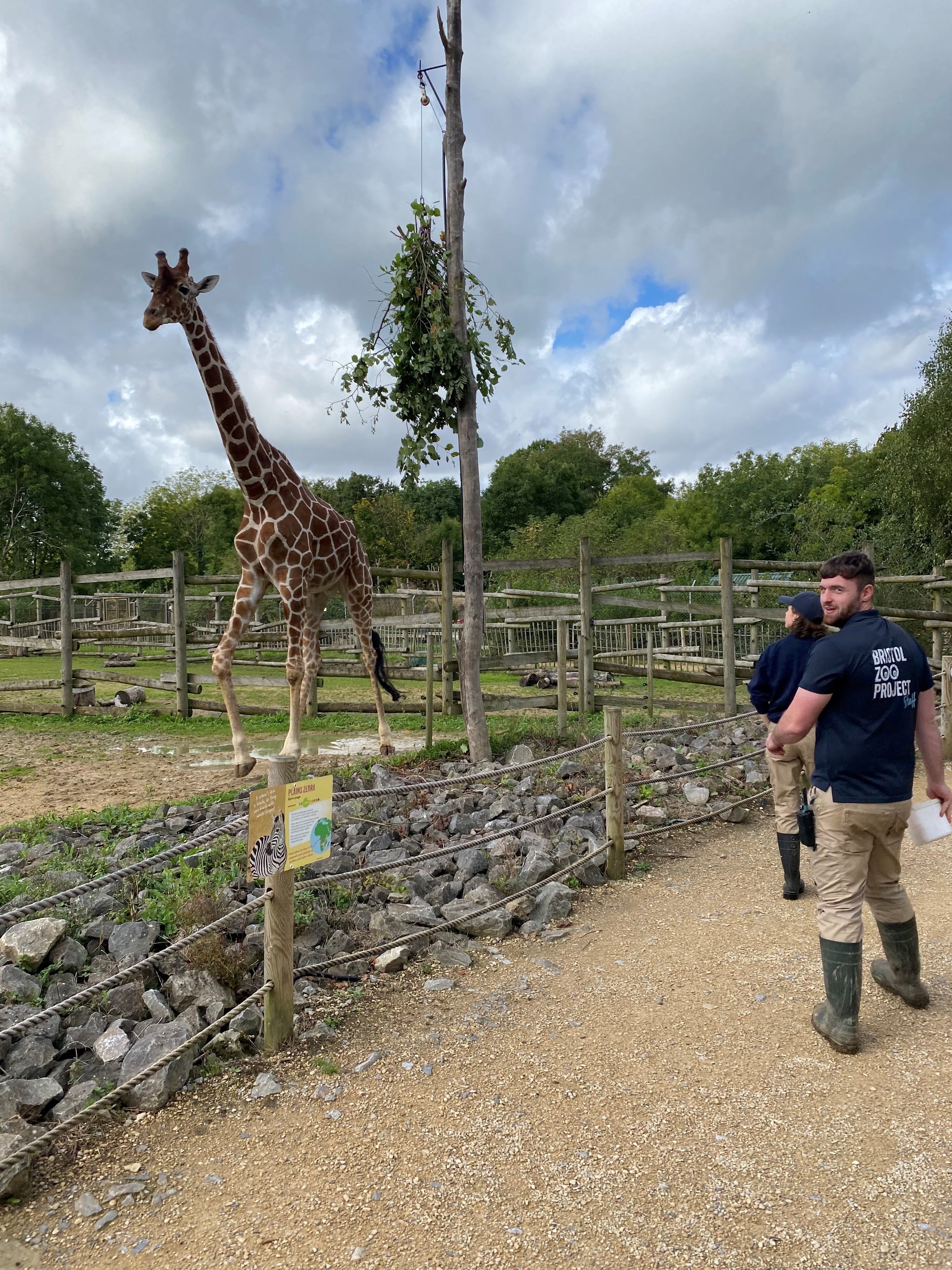 A day in the life of an animal keeper - Bristol Zoo Project