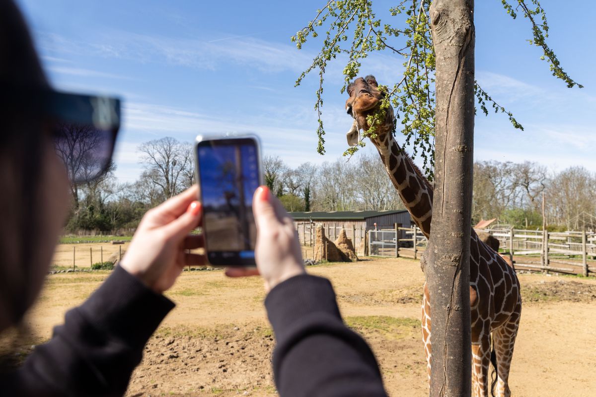 Attractions - Bristol Zoo Project
